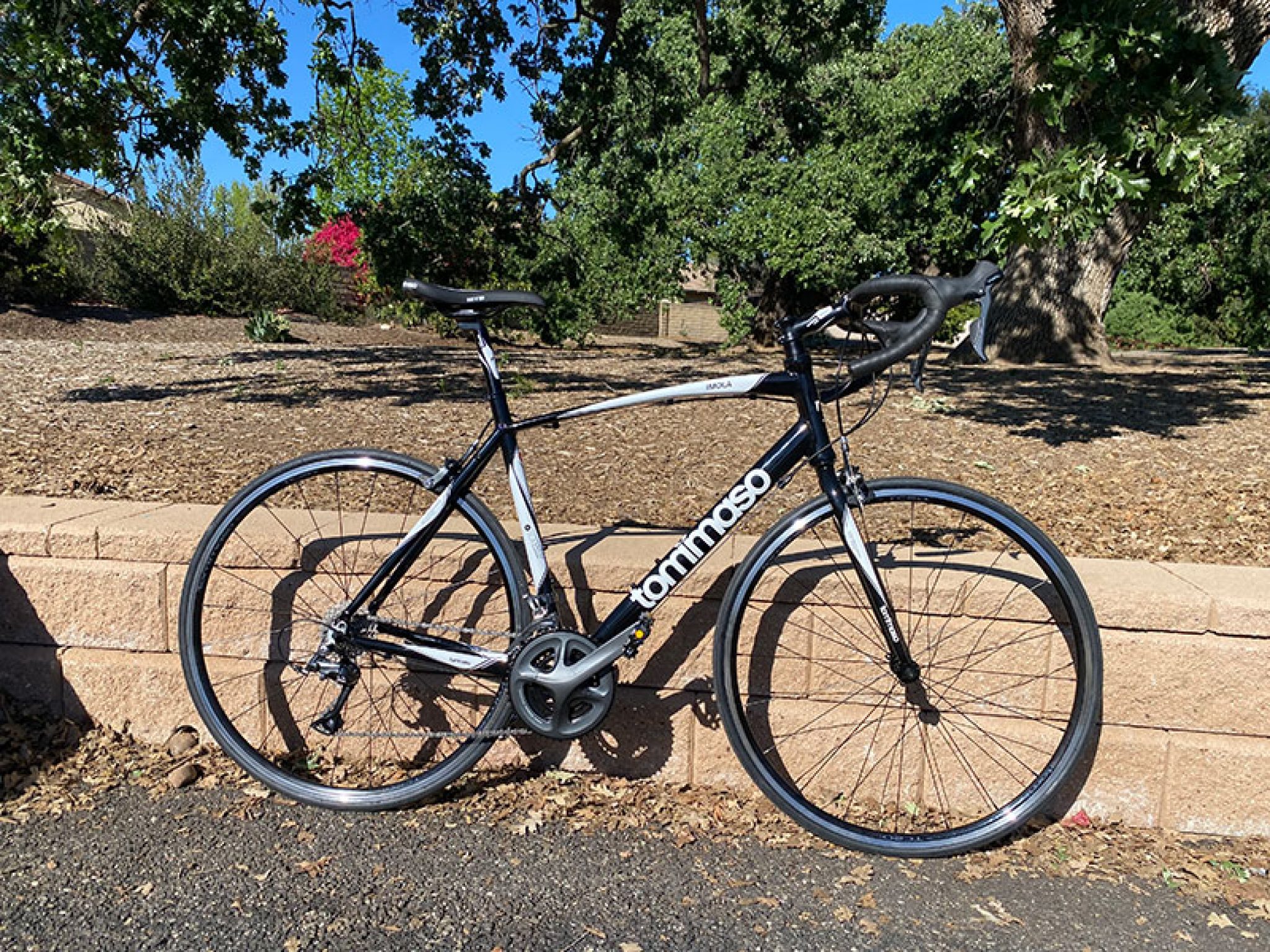 Tommaso Imola — Great Value Road Bike Under $1,000