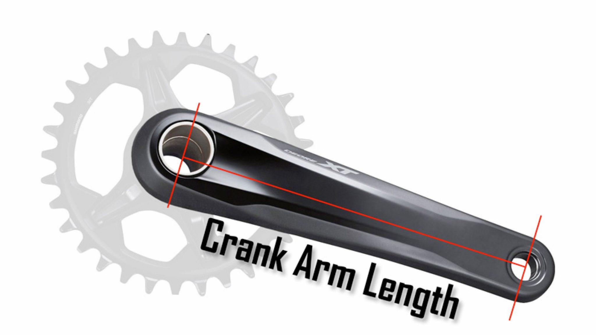 Bike Seat Height: Learn How to Easily Get It Right